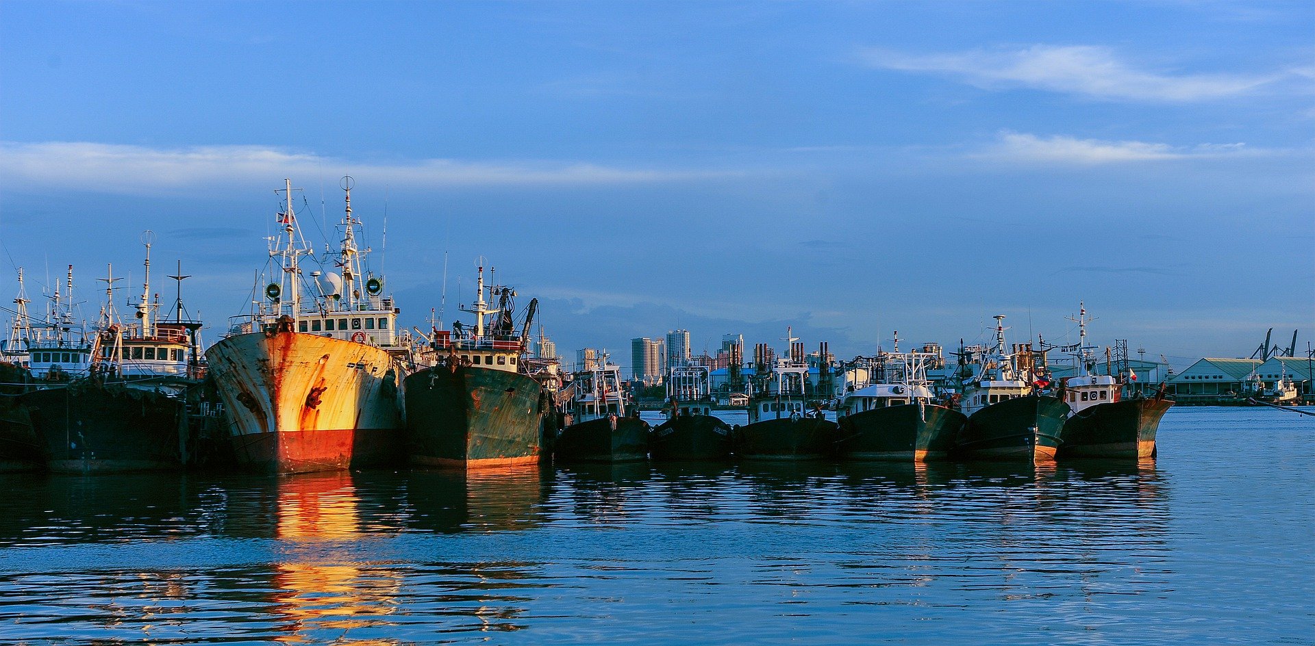 Informal Trade & Smuggling for Tax Evasion - Blue Crime: the evidence